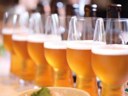 Craft Beer Glass – IPA Development | SPIEGELAU United Kingdom